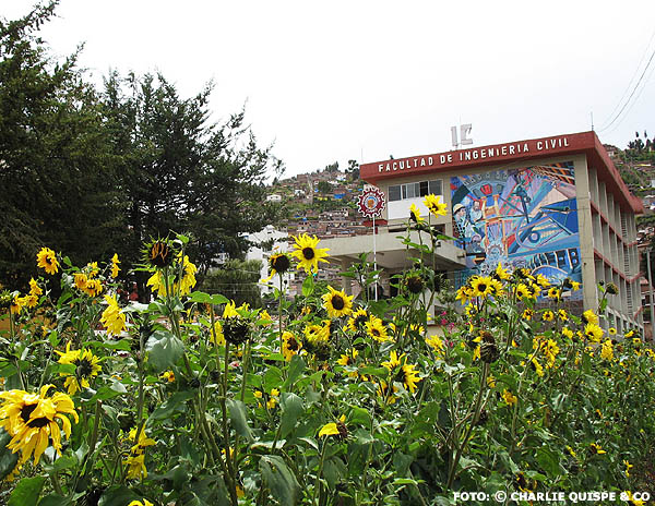 Universidad Nacional de San Antonio Abad del Cusco (UNSAAC)